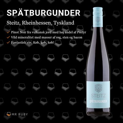 Spätburgunder, Weingut Steitz, Rheinhessen, Tyskland